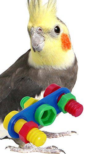 Bonka Bird Toys 01081 Screw IT! Foot Talon Toy Conure Amazon Macaw African Grey