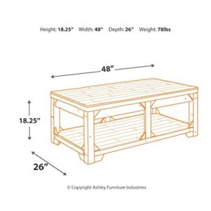 Signature Design by Ashley Fregine Farmhouse Rectangular Lift Top Coffee Table with Floor Shelf, Whitewash with Weathered Finish