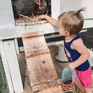 LITTLE FARMER PRODUCTS Chicken Fun-DOO Non-GMO, Soy-Free Chicken Treat | Premium Poultry Meal Worm, Vegetable & Herb Mix (3 lbs)