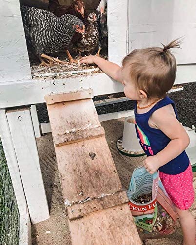 LITTLE FARMER PRODUCTS Chicken Fun-DOO Non-GMO, Soy-Free Chicken Treat | Premium Poultry Meal Worm, Vegetable & Herb Mix (3 lbs)