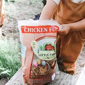 LITTLE FARMER PRODUCTS Chicken Fun-DOO Non-GMO, Soy-Free Chicken Treat | Premium Poultry Meal Worm, Vegetable & Herb Mix (3 lbs)