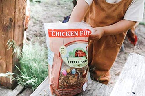 LITTLE FARMER PRODUCTS Chicken Fun-DOO Non-GMO, Soy-Free Chicken Treat | Premium Poultry Meal Worm, Vegetable & Herb Mix (3 lbs)