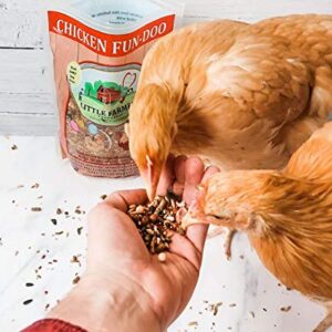 LITTLE FARMER PRODUCTS Chicken Fun-DOO Non-GMO, Soy-Free Chicken Treat | Premium Poultry Meal Worm, Vegetable & Herb Mix (3 lbs)