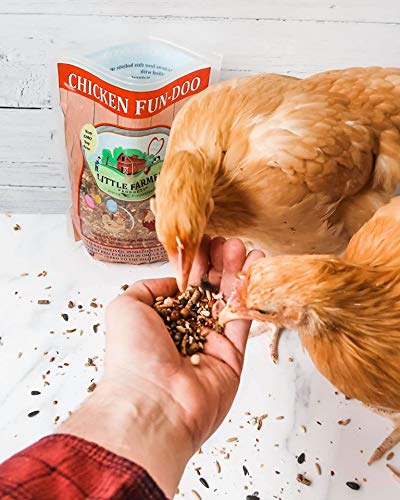 LITTLE FARMER PRODUCTS Chicken Fun-DOO Non-GMO, Soy-Free Chicken Treat | Premium Poultry Meal Worm, Vegetable & Herb Mix (3 lbs)