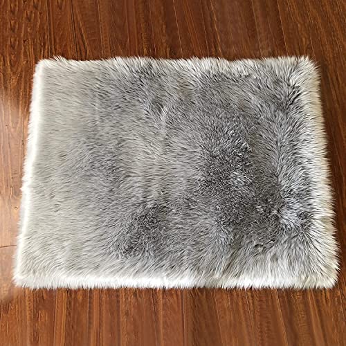 LAMBZY '' Lena Collection '' Faux Sheepskin Super Soft Hypoallergenic Rectangular Area Rug Plush Fur Premium Shag (4'x6',120x180 cm, Gray)