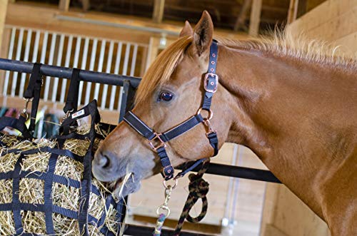 Derby Originals Easy Feeder Horse Hay Bag with Super Tough Bottom and 1 Year Warranty