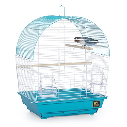 Prevue Pet Products South Beach Dome Top Bird Cage, Teal (SP50071),14 1/8" L x 11 1/4" W x 18 1/8" H