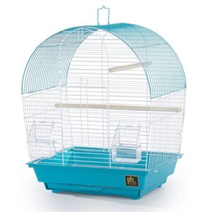 Prevue Pet Products South Beach Dome Top Bird Cage, Teal (SP50071),14 1/8" L x 11 1/4" W x 18 1/8" H