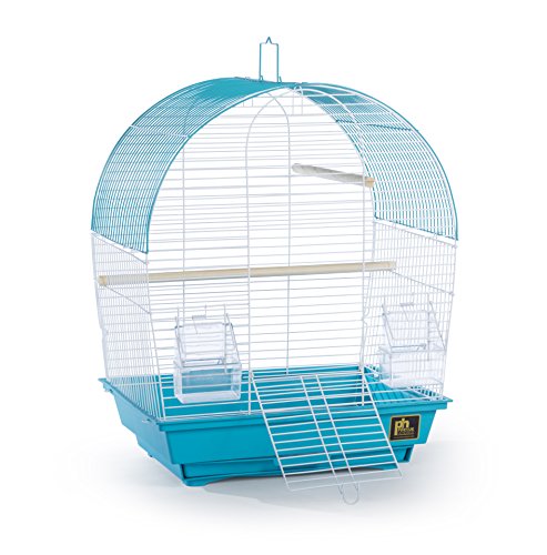 Prevue Pet Products South Beach Dome Top Bird Cage, Teal (SP50071),14 1/8" L x 11 1/4" W x 18 1/8" H