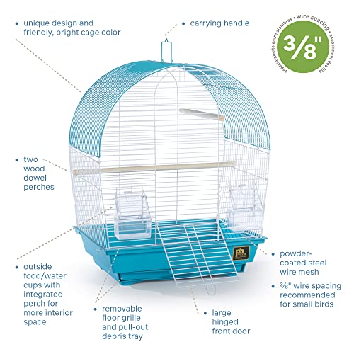 Prevue Pet Products South Beach Dome Top Bird Cage, Teal (SP50071),14 1/8" L x 11 1/4" W x 18 1/8" H