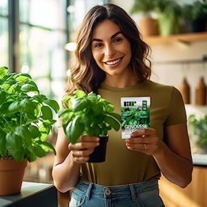 Genovese Basil Seeds for Planting - Heirloom Non-GMO USA Grown - 150+ Seeds - Premium Sweet Basil Seeds for Indoors or Outdoors by RDR Seeds