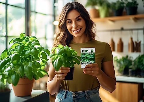 Genovese Basil Seeds for Planting - Heirloom Non-GMO USA Grown - 150+ Seeds - Premium Sweet Basil Seeds for Indoors or Outdoors by RDR Seeds