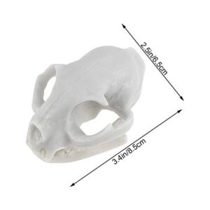 WINOMO Resin Fortune Cat Skull Skeleton Model