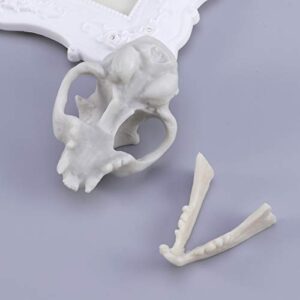 WINOMO Resin Fortune Cat Skull Skeleton Model