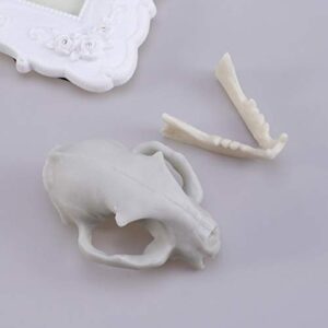 WINOMO Resin Fortune Cat Skull Skeleton Model