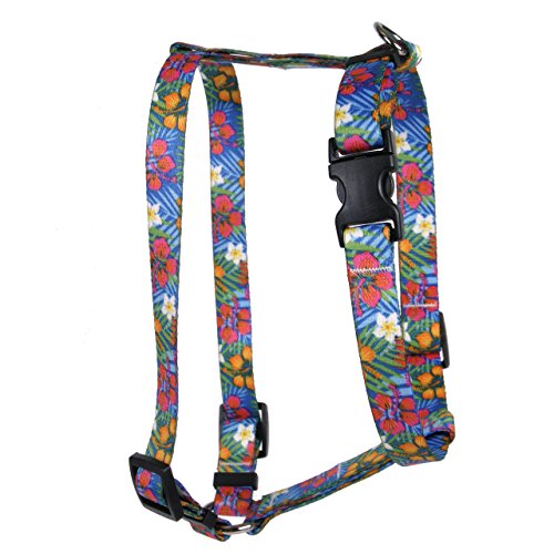 Yellow Dog Design Hibiscus Paradise Roman Style H Dog Harness, Large