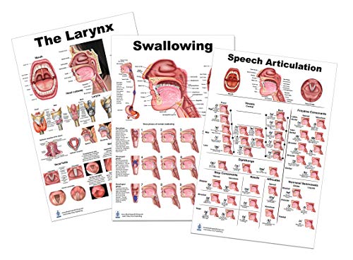 Anatomy Posters for SLP (Larynx, Swallowing, Speech Articulation 24x36)