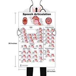 Anatomy Posters for SLP (Larynx, Swallowing, Speech Articulation 24x36)