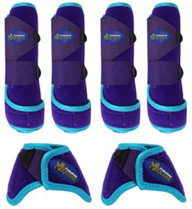 professional equine horse sports medicine splint noturn boots bell 4125d