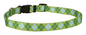 yellow dog design, lime green argyle dog collar, extra small 3/8" wide and fits neck 8" to 12"