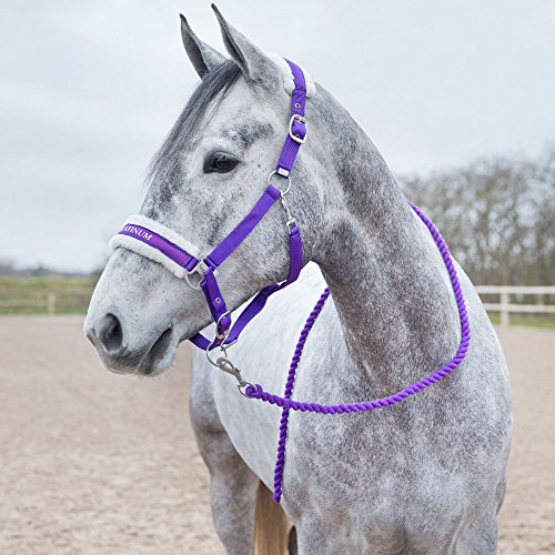 HORZE Howard Soft Cotton 6 Foot Horse Lead Rope with Snap Fastener - Purple - One Size