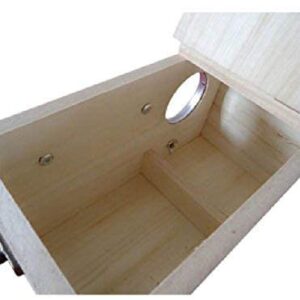 [Wood] Tiger breeding Box, Peony, Cockatiels, Parrots, breeding Boxes, Bird nest S