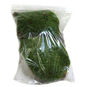 Josh's Frogs Dried Mood Moss (1 Gallon Bag)