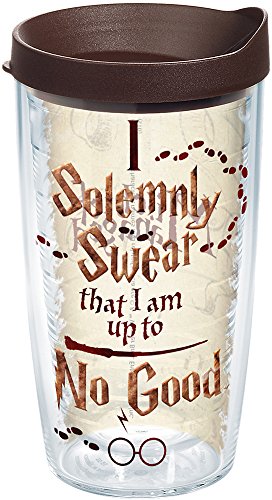 Tervis Made in USA Double Walled Harry Potter I Solemnly Swear Insulated Tumbler Cup Keeps Drinks Cold & Hot, 16oz, Classic