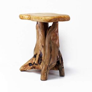 welland tree stump side table, live edge stool, natural edge wood side table, accent table, 19" tall