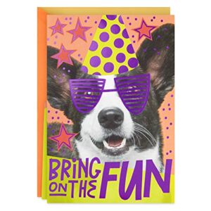 hallmark pop up birthday card (birthday dog)