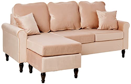 Divano Roma Furniture Classic Sectional, Champaign