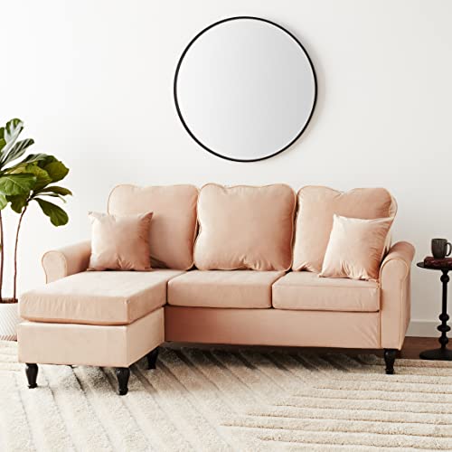 Divano Roma Furniture Classic Sectional, Champaign