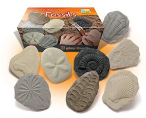 yellow door let’s investigate fossils for kids; science kit, toddler toys for ages 2 years & older; includes shark tooth, wax rubbing for clay imprint; 8-piece fossil set