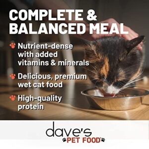 Dave's Pet Food Grain Free Wet Cat Food (Shredded Salmon in Gravy), Made in Canada Naturally Healthy Canned Cat Food, Added Vitamins & Minerals, Wheat & Gluten-Free, GMO-Free, 5.5 oz (Case of 24)