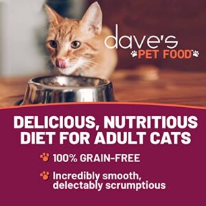 Dave's Pet Food Grain Free Wet Cat Food (Shredded Salmon in Gravy), Made in Canada Naturally Healthy Canned Cat Food, Added Vitamins & Minerals, Wheat & Gluten-Free, GMO-Free, 5.5 oz (Case of 24)