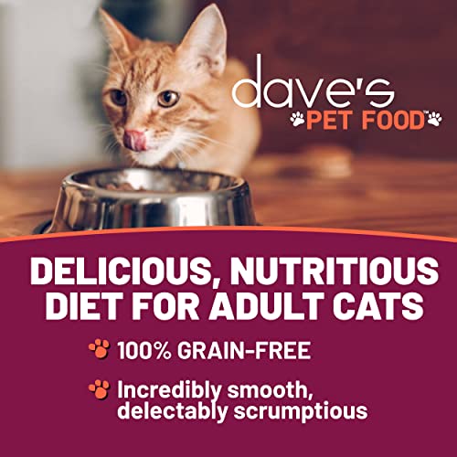 Dave's Pet Food Grain Free Wet Cat Food (Shredded Salmon in Gravy), Made in Canada Naturally Healthy Canned Cat Food, Added Vitamins & Minerals, Wheat & Gluten-Free, GMO-Free, 5.5 oz (Case of 24)