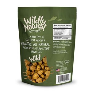 Wildly Natural Cat Treats, 2.5 Ounces, Salmon Flavor