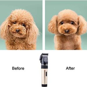 ENJOY PET Dog Clippers Cat Shaver, Professional Hair Grooming Clippers Detachable Blades Cordless Rechargeable with Guards, Combs for Dog Cat Small Animal, Quiet Animal Horse Clippers (Gold)