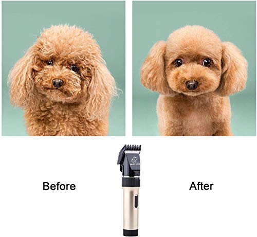 ENJOY PET Dog Clippers Cat Shaver, Professional Hair Grooming Clippers Detachable Blades Cordless Rechargeable with Guards, Combs for Dog Cat Small Animal, Quiet Animal Horse Clippers (Gold)