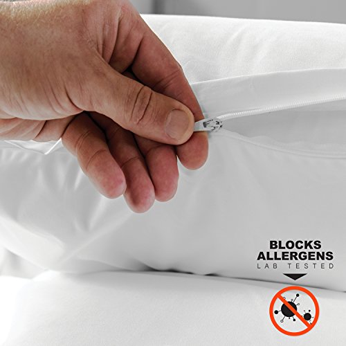 BioPEDIC Microshield Pillow Protector 2pk, Jumbo