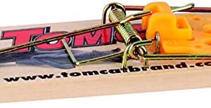 Tomcat 373312 Wooden Mouse Trap (1 Case of 48 Traps)