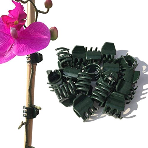 Vtete 50 PCS Large Size Orchid Clips and Garden Support Clips Green (Not with Flower and Plant Spike)