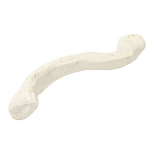 Axis Scientific Clavicle Bone Model | Right | Cast from Real Human Clavicle Bone l Human Collarbone Model Has Realistic Texture and Important Bony Landmarks | Includes Product Manual