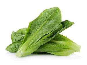 3000 parris island cos romaine lettuce seeds - 4+ grams - heirloom non-gmo usa grown premium vegetable seeds for planting - by rdr seeds