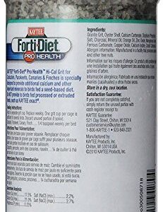 Kaytee Forti-Diet Pro Health Hi-Calcium Grit for Small Birds, 21-oz jar (42oz)