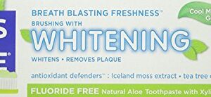 Kiss My Face Gel Teeth Whitening Fluoride Free Toothpaste (Pack of 3), Tea Tree, 13.5 Ounce (2434503EAF)