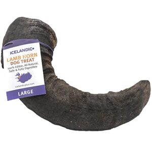 icelandic+ plus large lamb horn dog chew