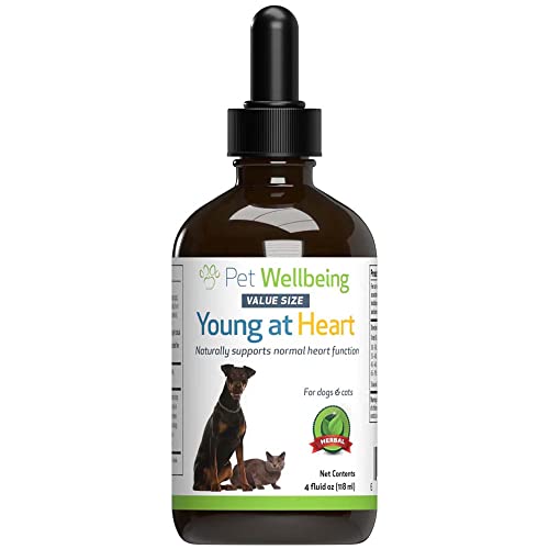 Pet Wellbeing Young at Heart for Dogs & Cats - Vet-Formulated - Supports Cardiovascular (Heart & Circulatory) Health - Natural Herbal Supplement 4 oz (118 ml)