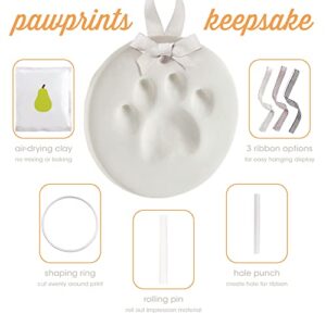 Pearhead DIY Pawprints Keepsake Kit for Dogs Or Cats, Christmas Ornament, Holiday Home Décor for Pet Lovers, Clay Paw Print Imprint, White