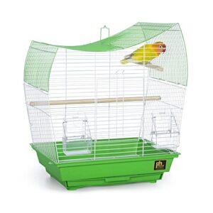 prevue pet products south beach wave top bird cage, lime green (sp50081)